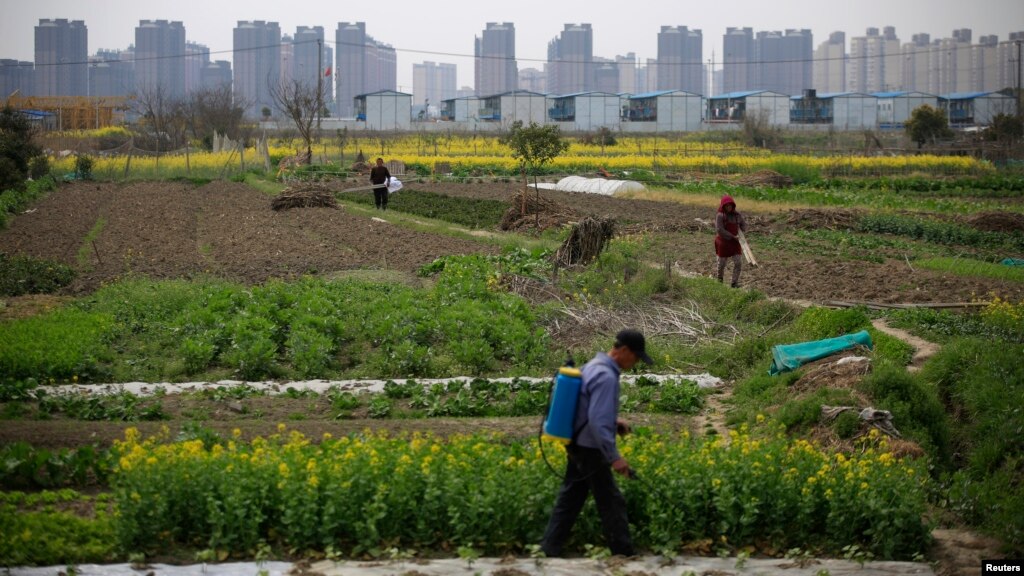 China Embraces Corporate Farming