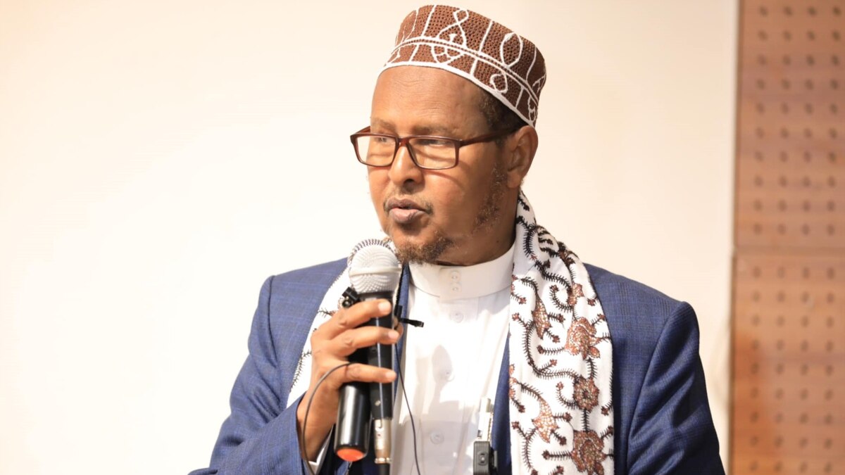 Wareysi: Culimada 'oo u istaagaya' heshiisiinta qabaa'illada Soomaalida