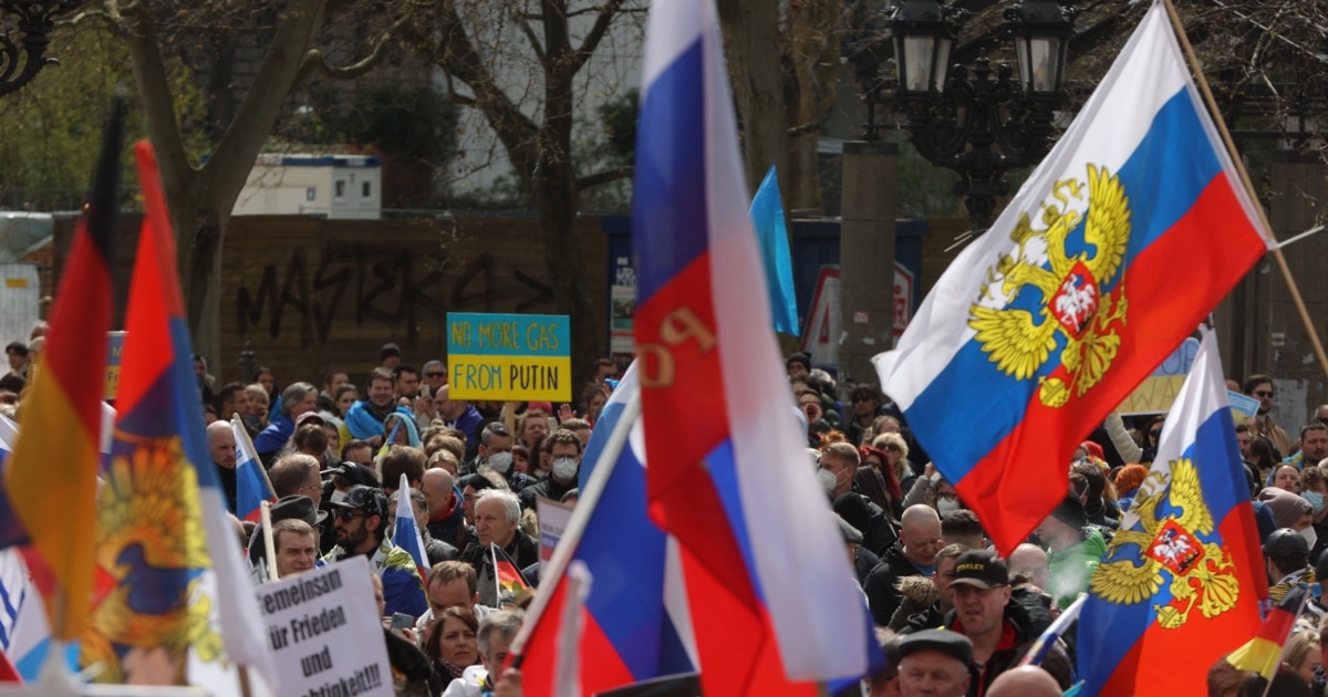 Pro-Russia Supporters Rally in Germany, Face Off With Counterdemonstrators