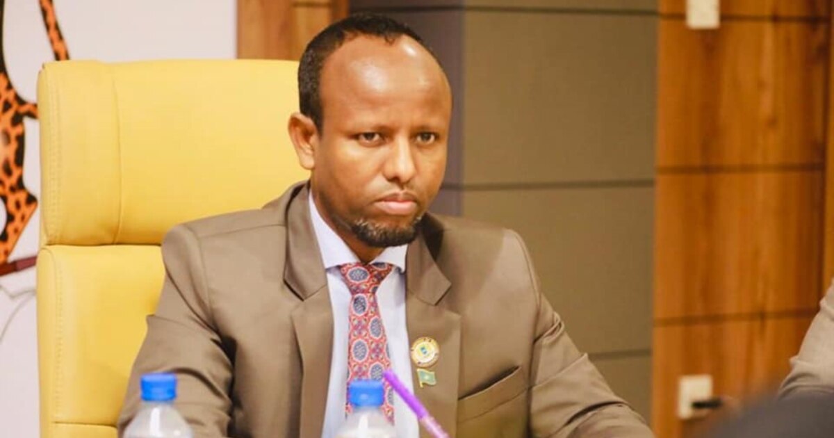 Wareysi: Xagee marayaa gurmadka qaraxyadii Zoobe