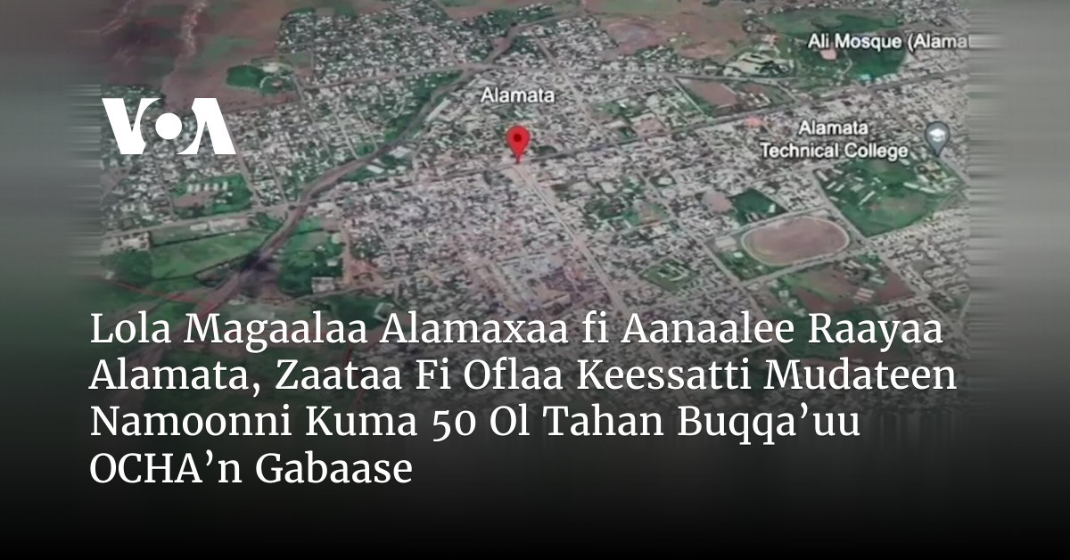 Lola Magaalaa Alamaxaa fi Aanaalee Raayaa Alamata, Zaataa Fi Oflaa ...