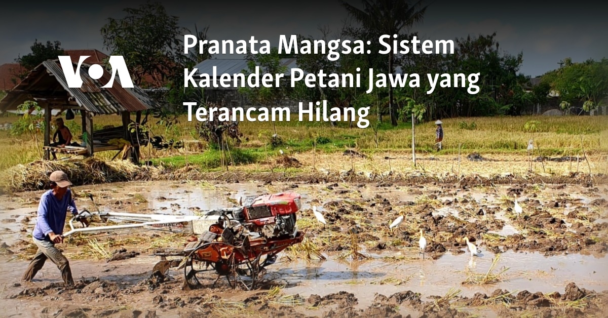 Pranata Mangsa: Sistem Kalender Petani Jawa yang Terancam Hilang
