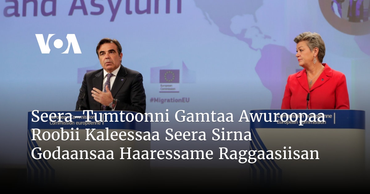 Seera-Tumtoonni Gamtaa Awuroopaa Roobii Kaleessaa Seera Sirna Godaansaa ...