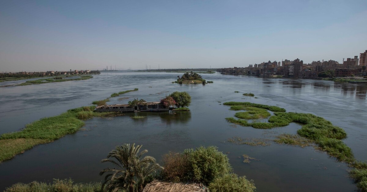 Human activity possess risk to River Nile’s ecosystem