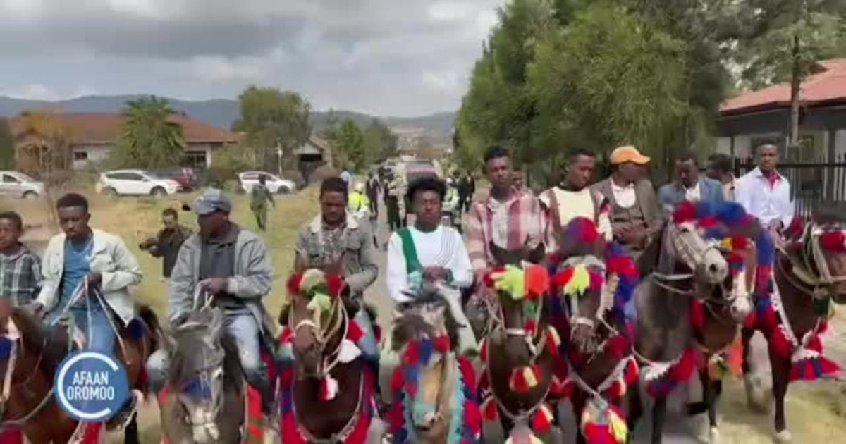 Sirna Awwaalchaa Obbo Bulchaa Dammaqsaarratti Firoonnii fi Waahiloonni ...