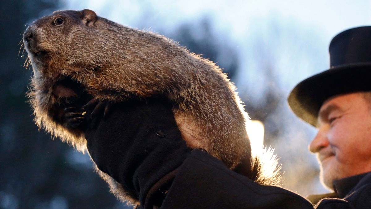 Famous US Groundhog Predicts Early Spring