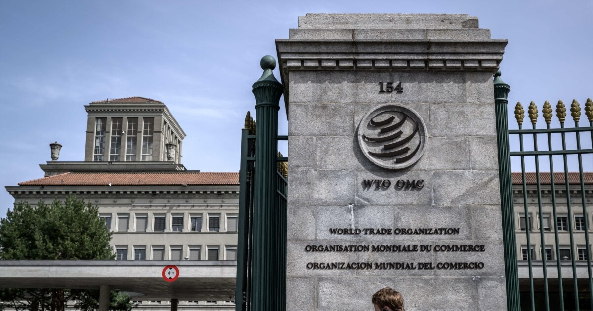 Ekonom WTO Prakirakan Suramnya Perdagangan Dunia 2023