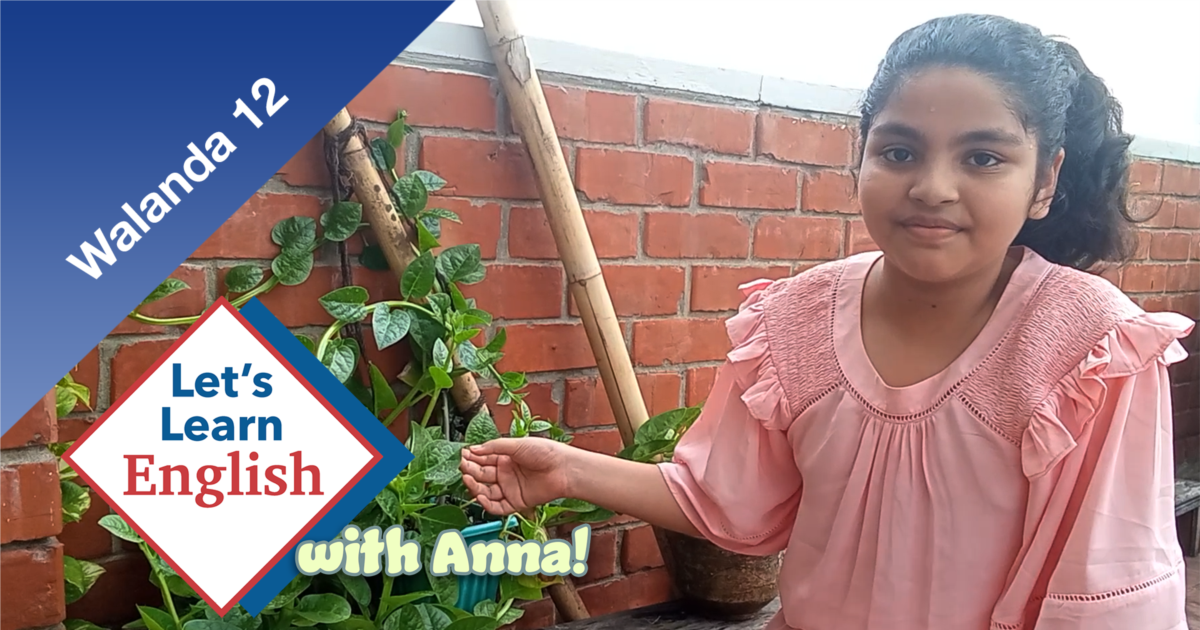 Walanda 12: Nakɔ bɛ falen cogo di?