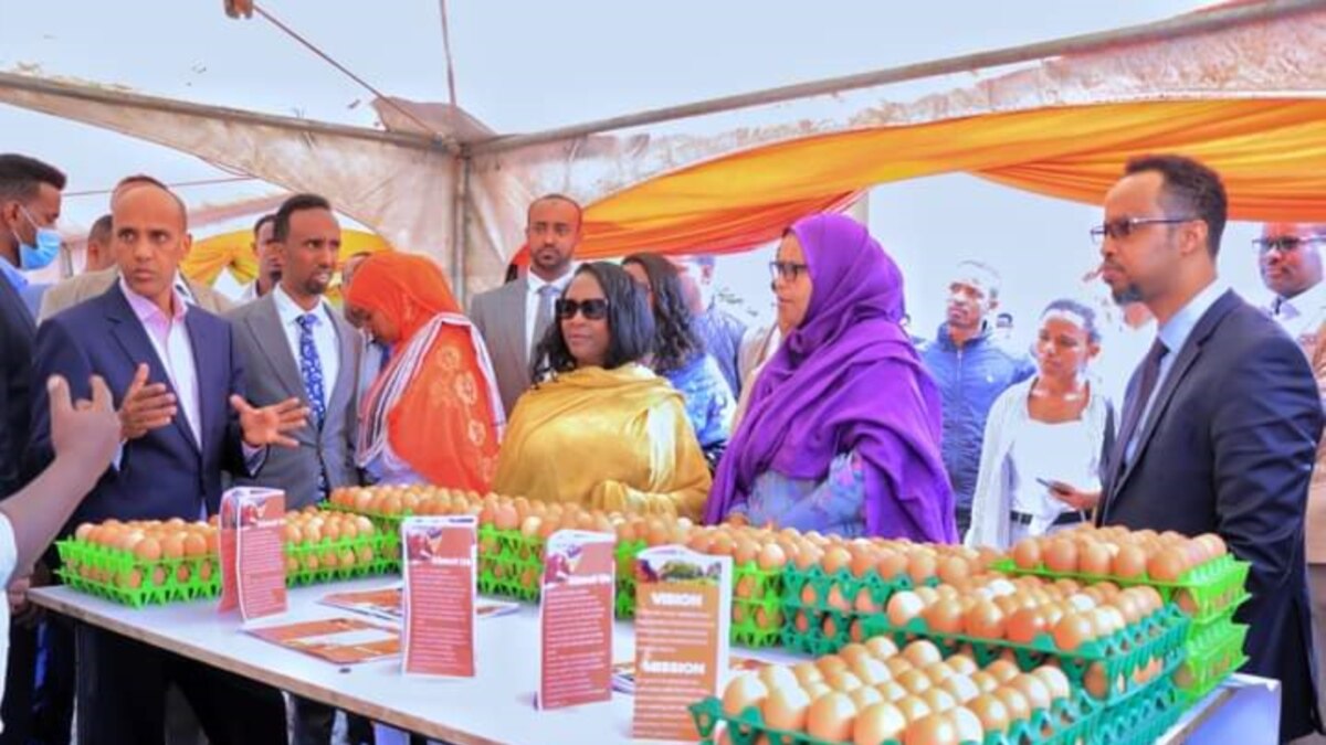 Sicir-barar xooggan oo ka jira Jigjiga