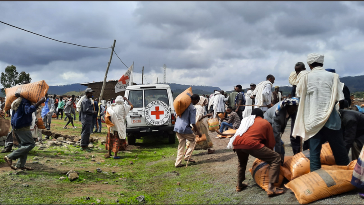 Red Cross Running Short