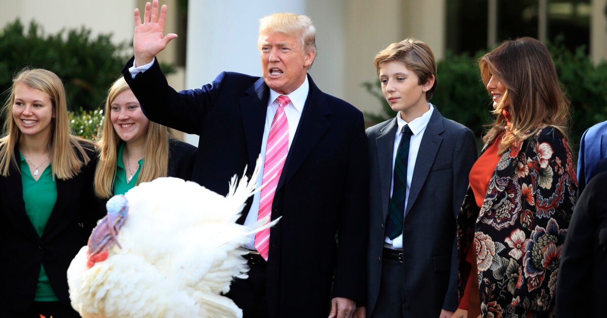 What Is the History of the Presidential Turkey Pardon?