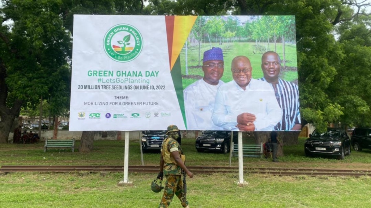 Ghana Aims to Plant Millions of New Trees in Single Day
