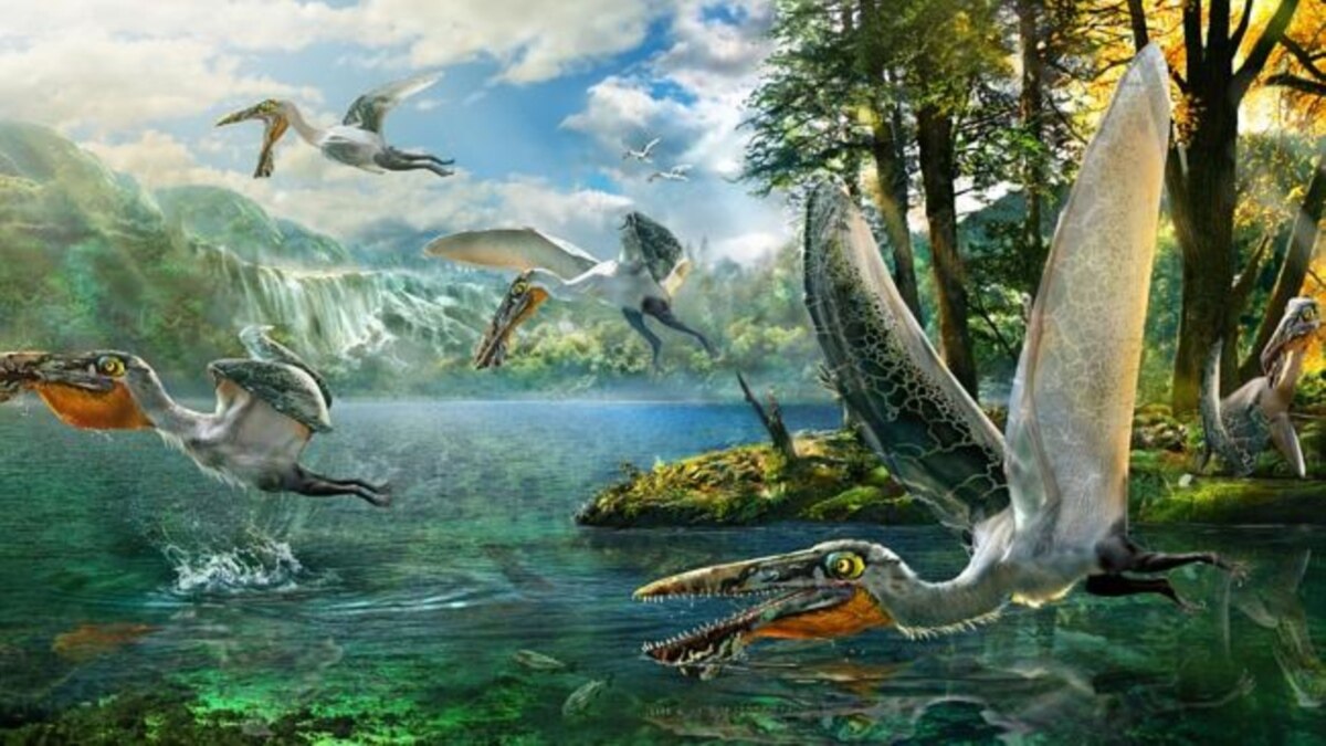 Ancient Flying Reptile Named After 'Avatar' Creature