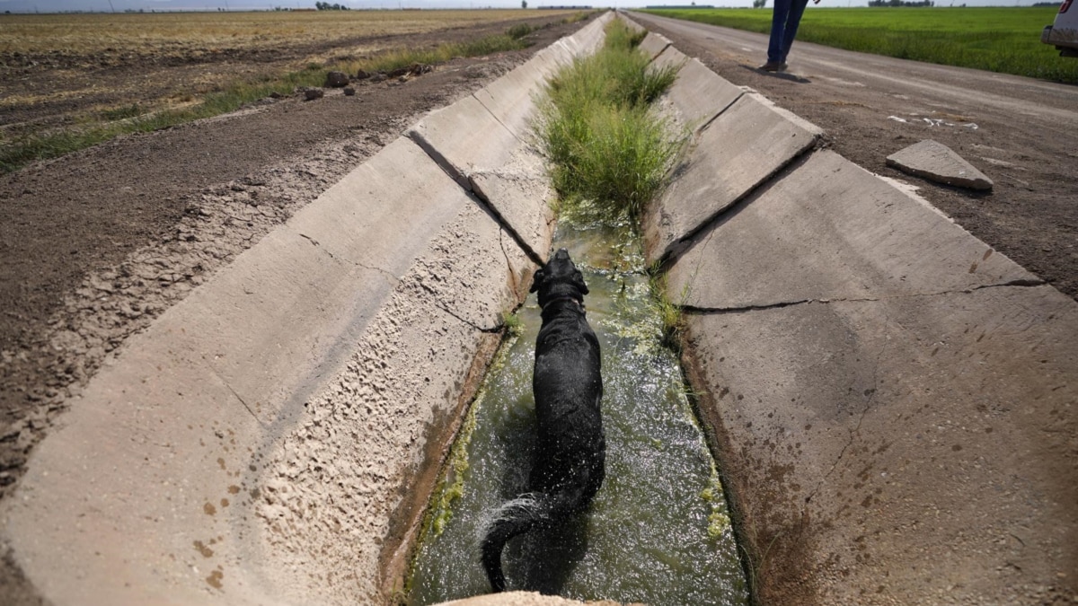 States Prepare to Reduce Use of Colorado River Water