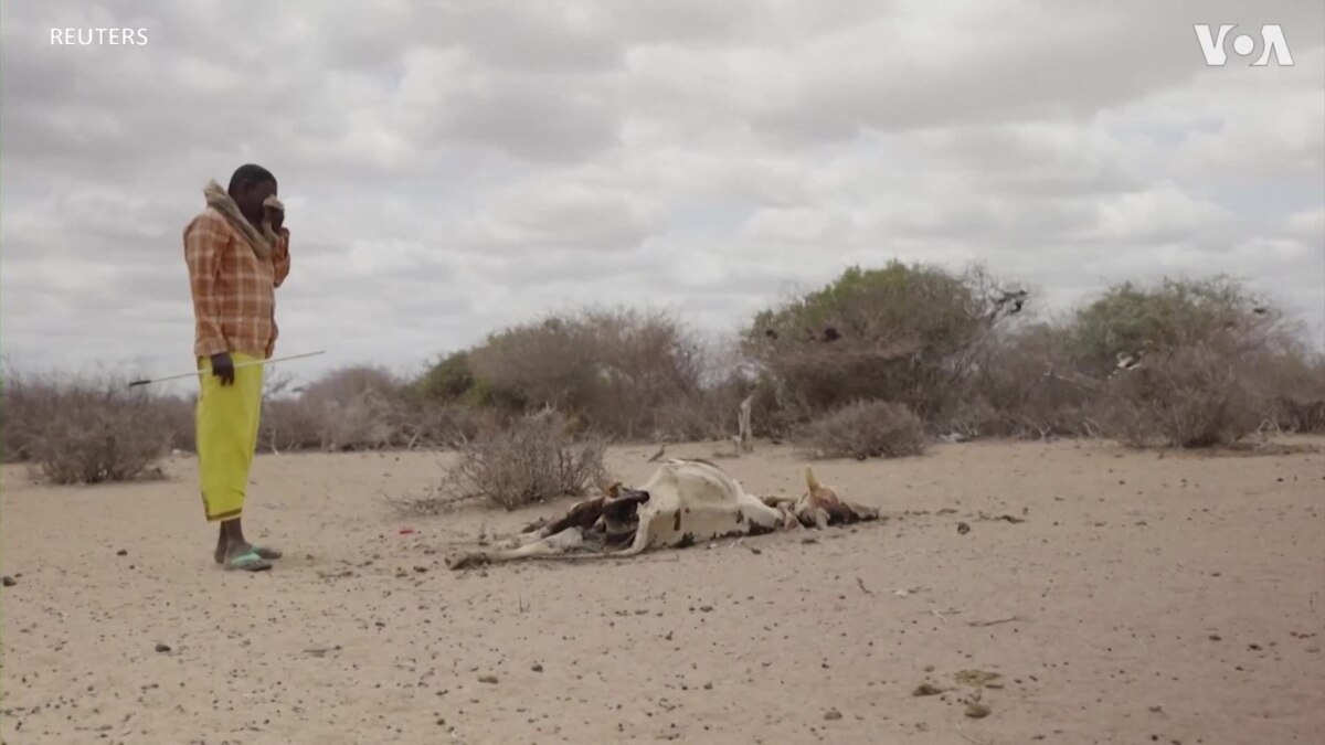 Somalians, Kenyans Flee Homes Pursuing Food & Water