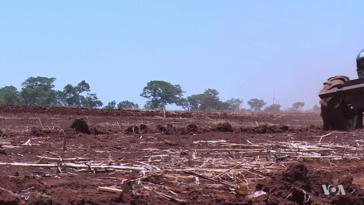 Irrigation Still Rare in Zimbabwe as UN Predicts Drought