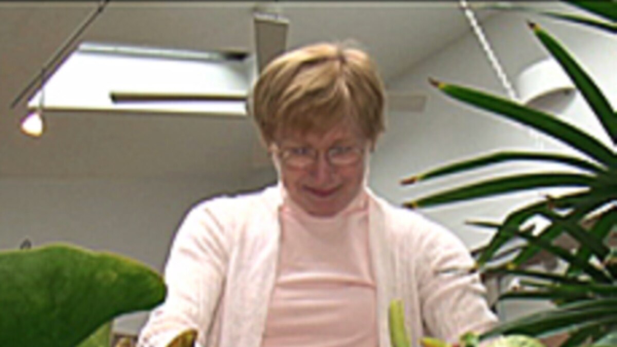 Woman Creates Indoor Garden of Eden