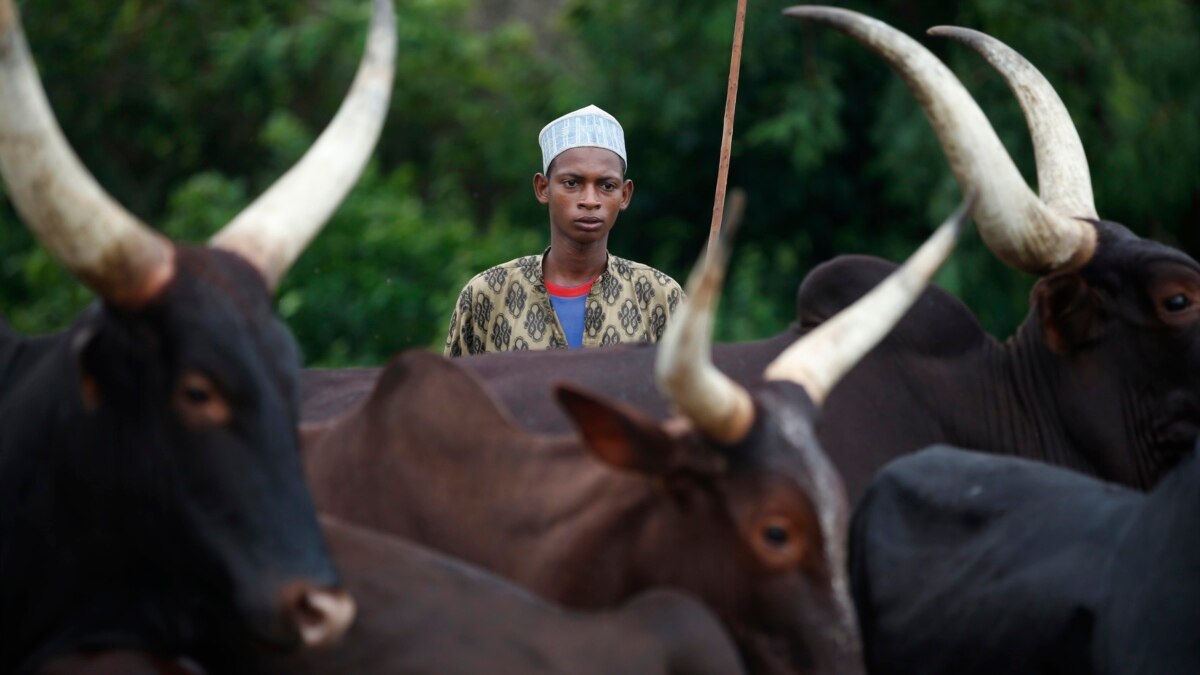 Rights Group Seeks UN Help to Free Peuhl Captives in CAR