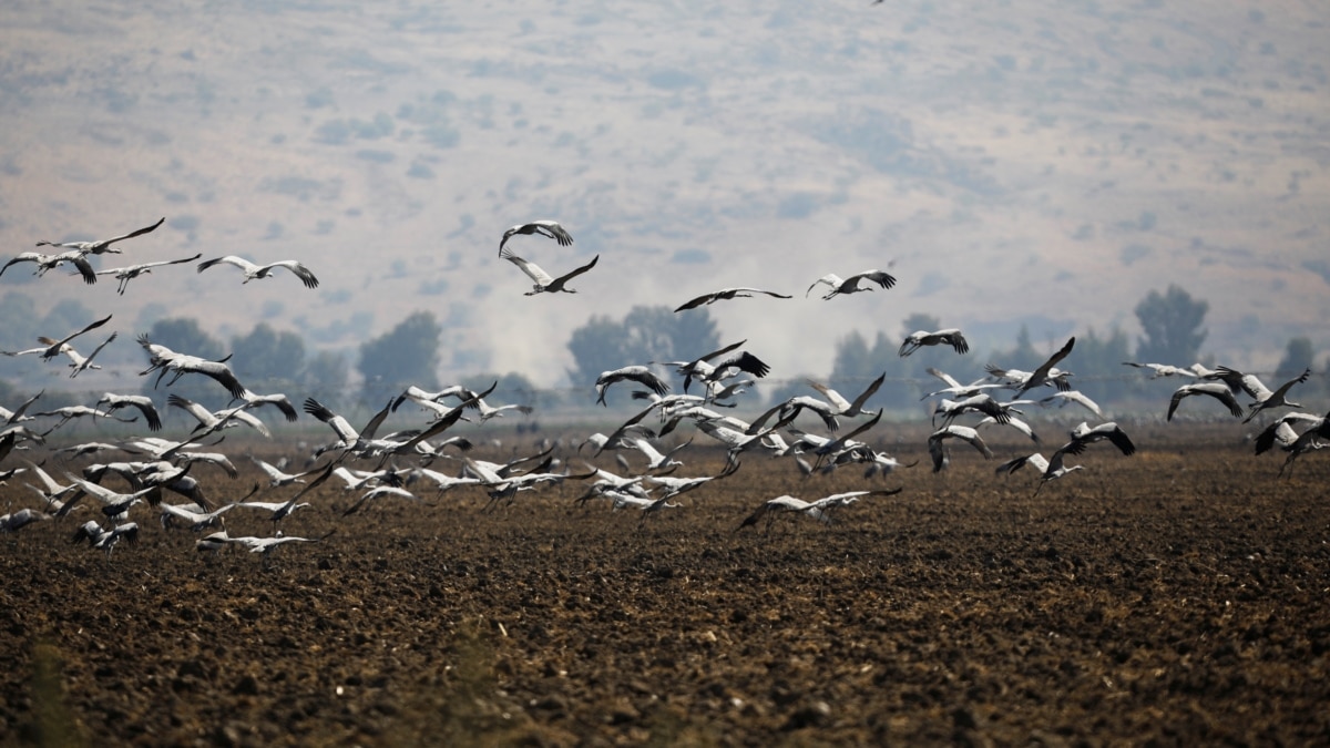 Israel's Water Worries Return After 4 Years of Drought