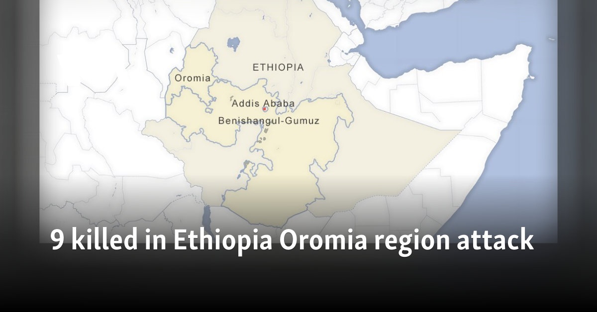 9 killed in Ethiopia Oromia region attack