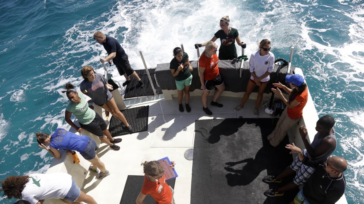 First-Generation College Students Struggle