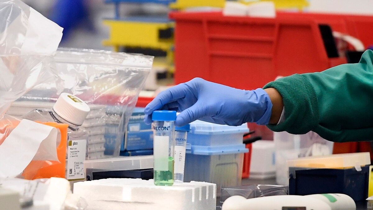 Vaksina për COVID-19, prova shpresëdhënëse tek majmunët