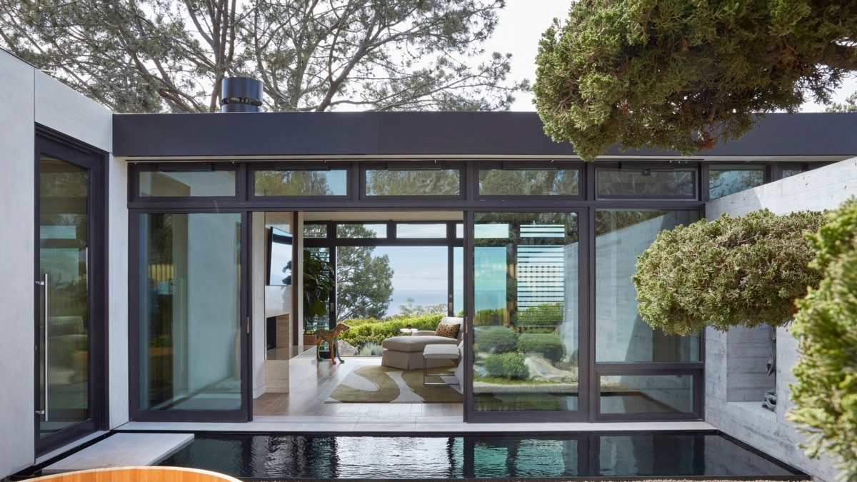 Using Real Trees to Bring Nature Indoors