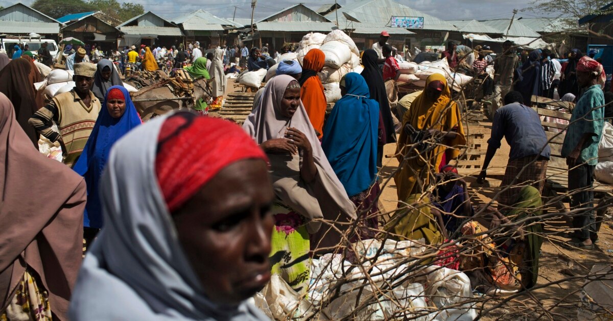 Voluntary Repatriation of Somali Refugees Begins