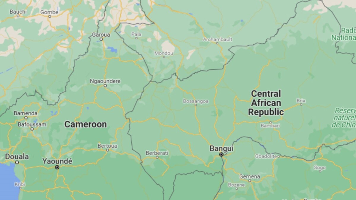 Cameroon, CAR Raise Concerns About Border Security