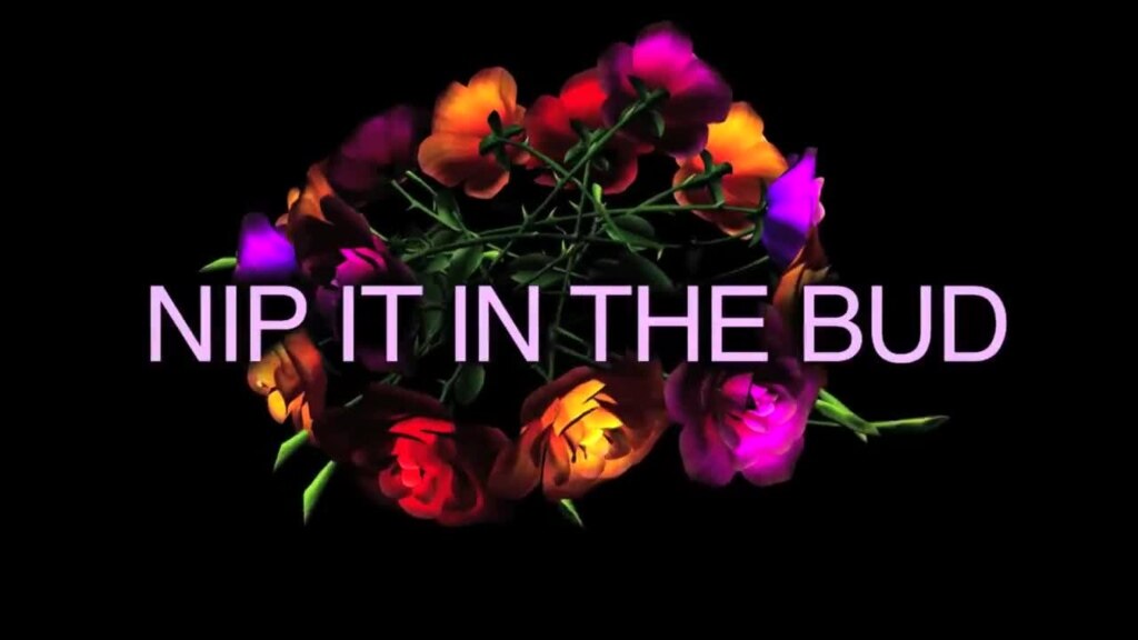 English in a Minute: Nip it in the Bud