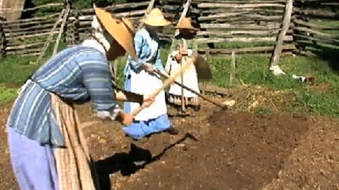 Experience 18th Century Farm Life At The Claude Moore Colonial Farm