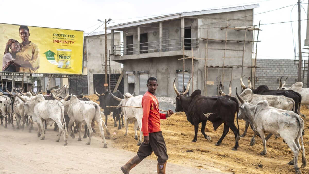 Millions in Cameroon, Niger Threatened by Hunger