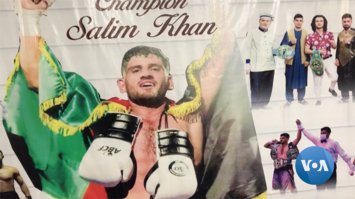 Afghan Refugee Fights To Return To Professional Boxing