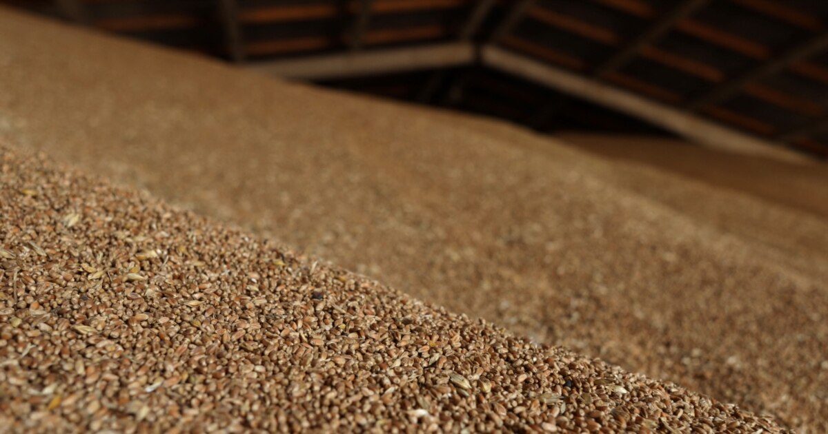 Russian Relief Coming - Bamako