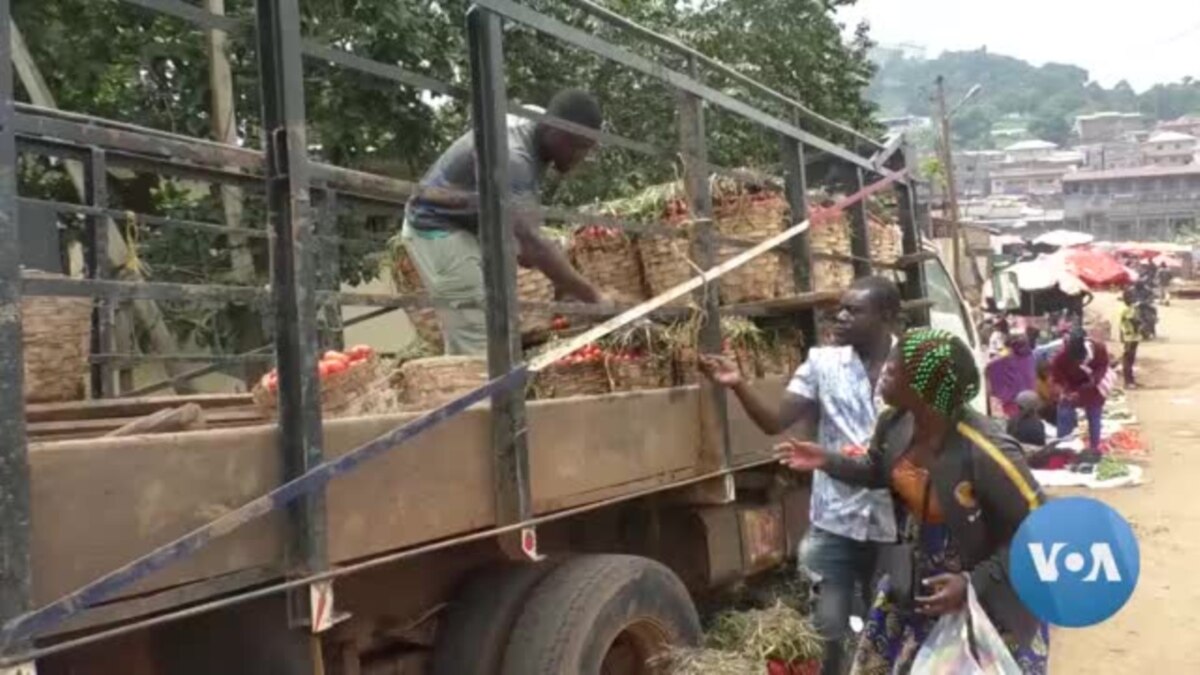 African Continental FTA Challenged by Bureaucracy, Poor Infrastructure