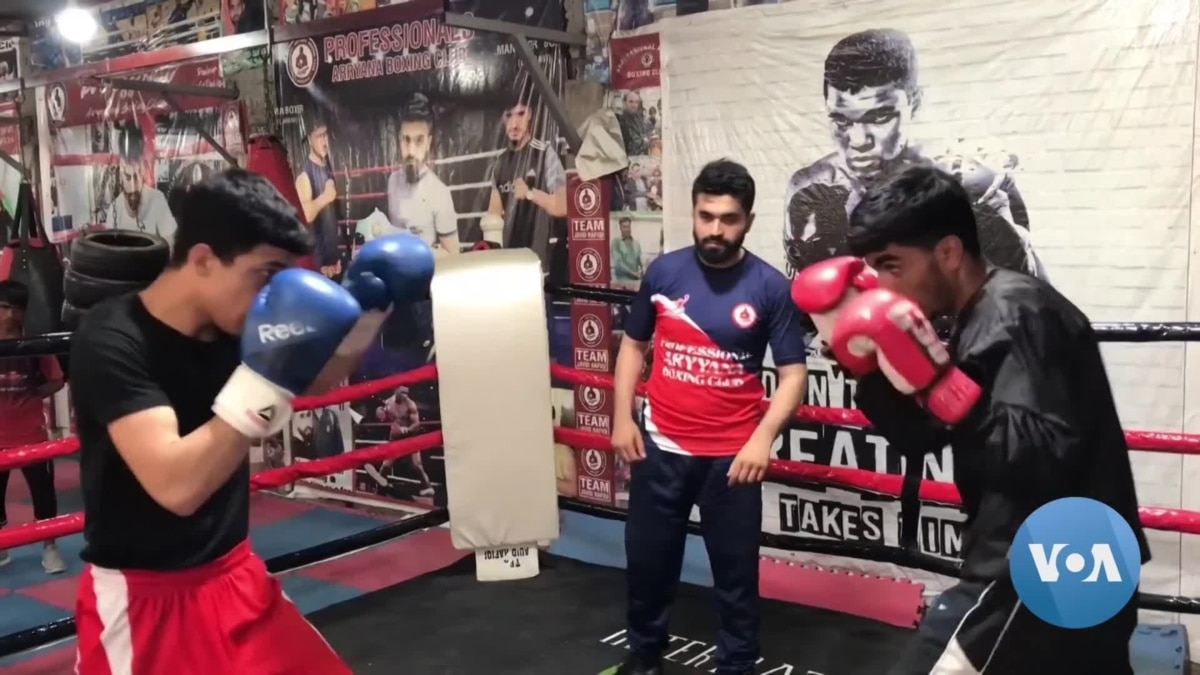 Afghan Refugee Fights to Return to Professional Boxing
