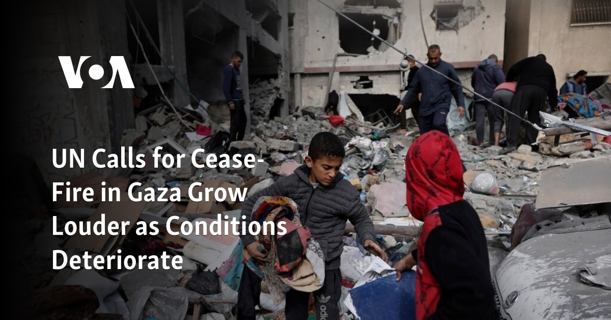 UN Calls for Cease-Fire in Gaza Grow Louder as Conditions Deteriorate