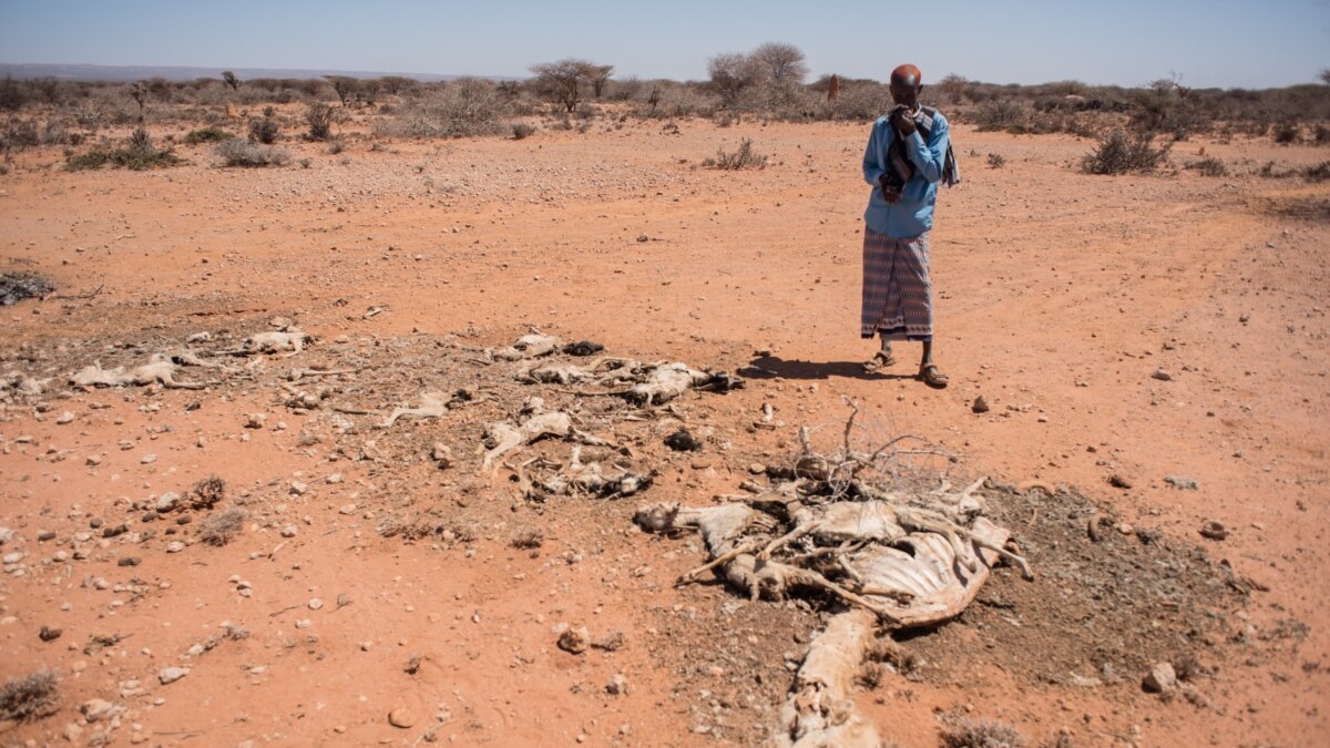 Monitoring Droughts' Movements Would Aid Vulnerable Areas, Researchers Say