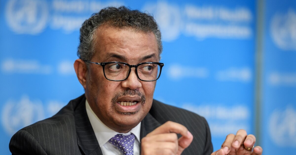 WHO Chief Warns of Malaria Spike in Africa
