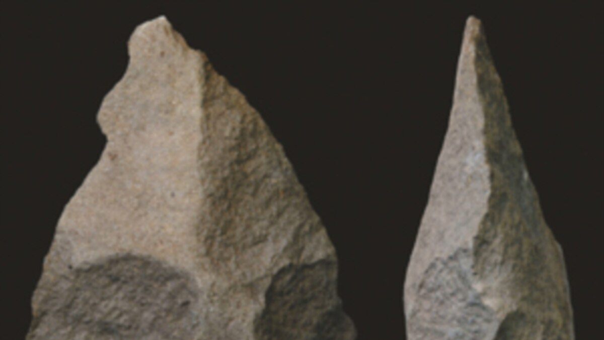 Earliest Known Human Hand-Ax Found in Kenya