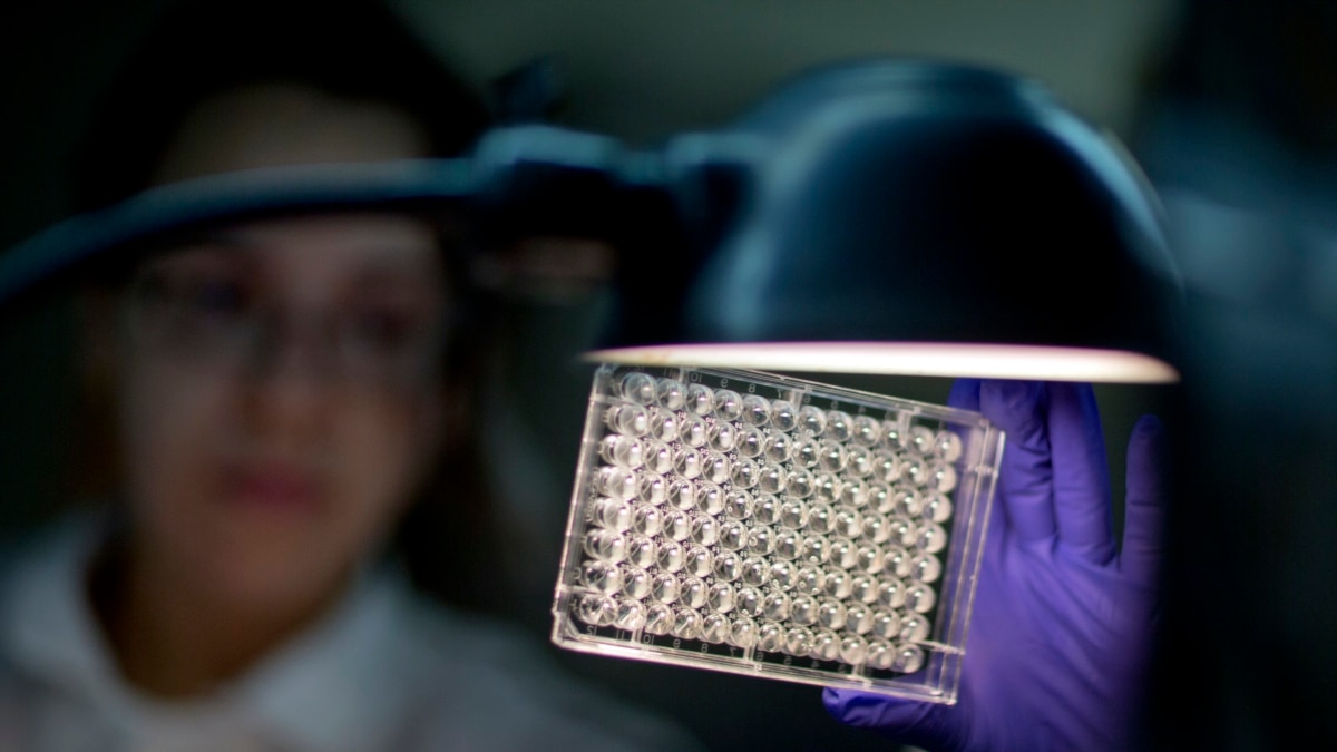 First Antibiotic-resistant Superbug Found in US