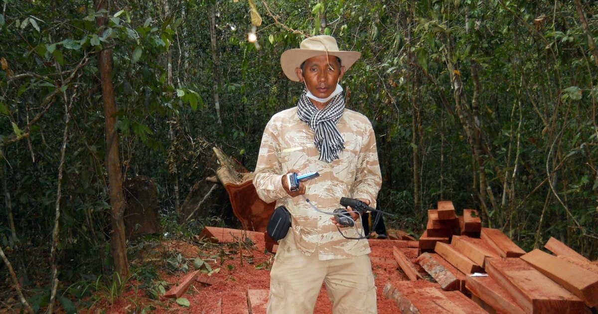 Filmmaker to Post Banned Documentary About Cambodian Logging Activist