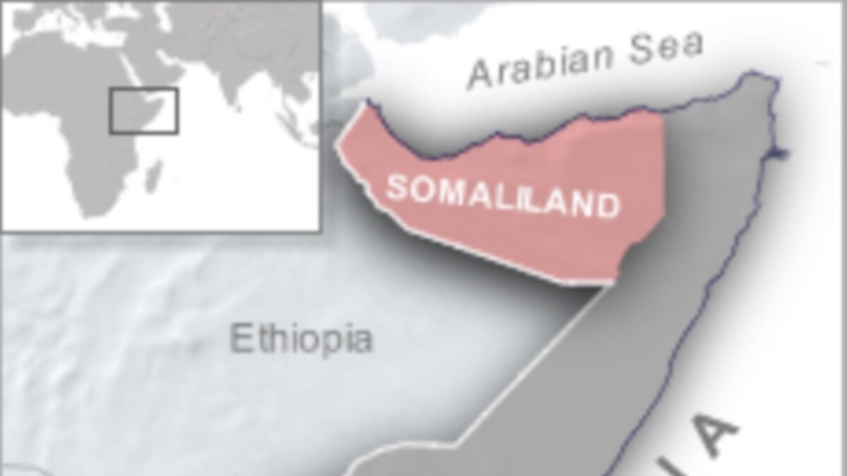 Carruur walaalo ah oo miino kula qaraxday degmada Laasgeel