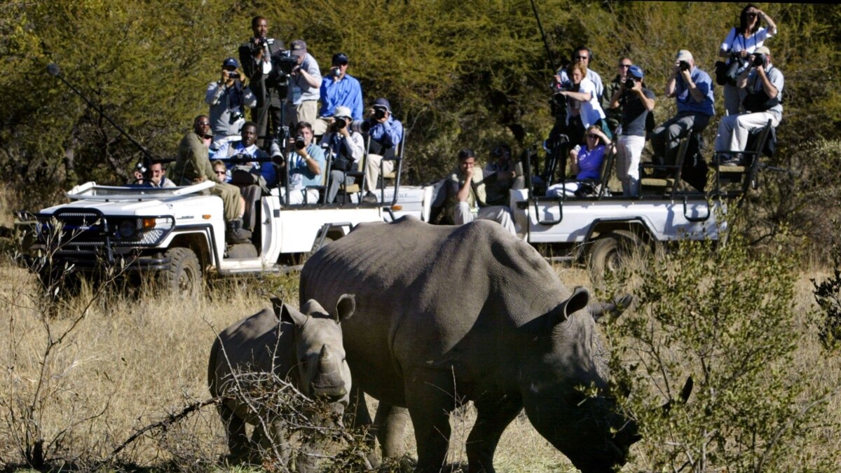 Botswana Denies 120 Rhinos Poached in 18 Months