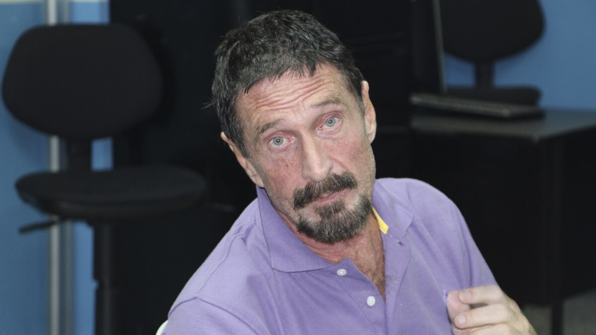 Software Pioneer McAfee Seeks Return to US