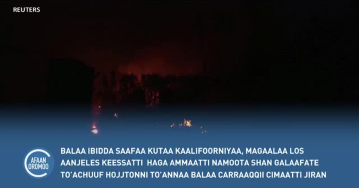 Balaa Ibiddaa Los Aanjeles Keessatti Haga Ammaatti Namoota Shan ...