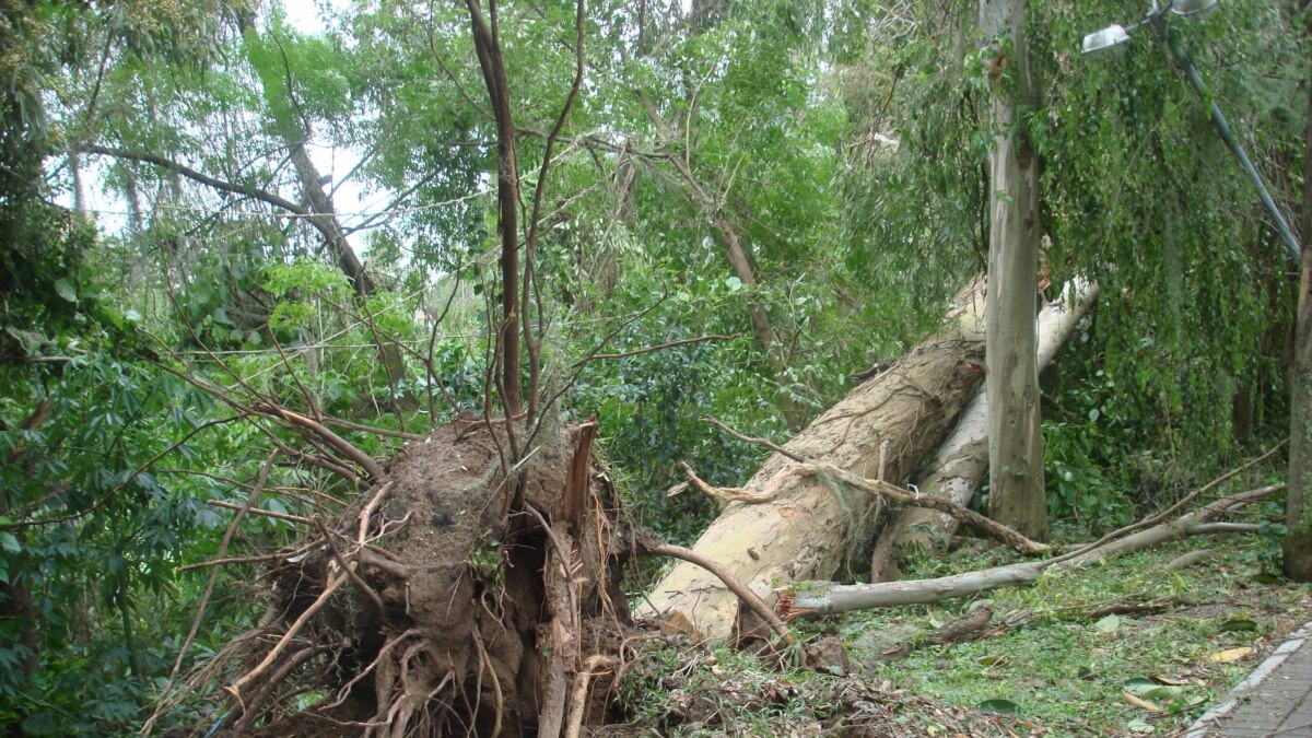 União Europeia adverte para riscos das queimadas descontroladas