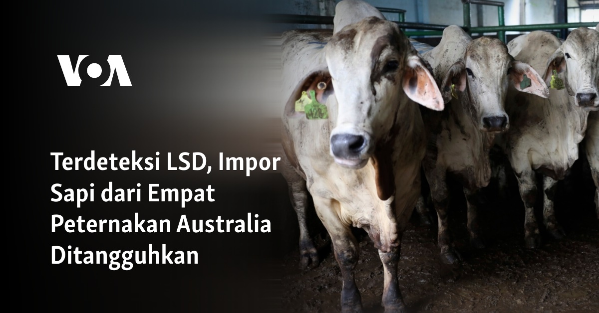 Terdeteksi LSD, Impor Sapi dari Empat Peternakan Australia Ditangguhkan