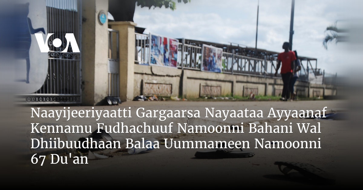 Naayijeeriyaatti Gargaarsa Nayaataa Ayyaanaf Kennamu Fudhachuuf ...