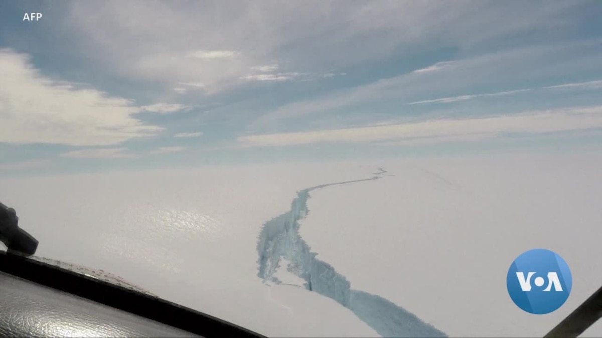 World's Biggest Iceberg on Collision Course With Wildlife Haven